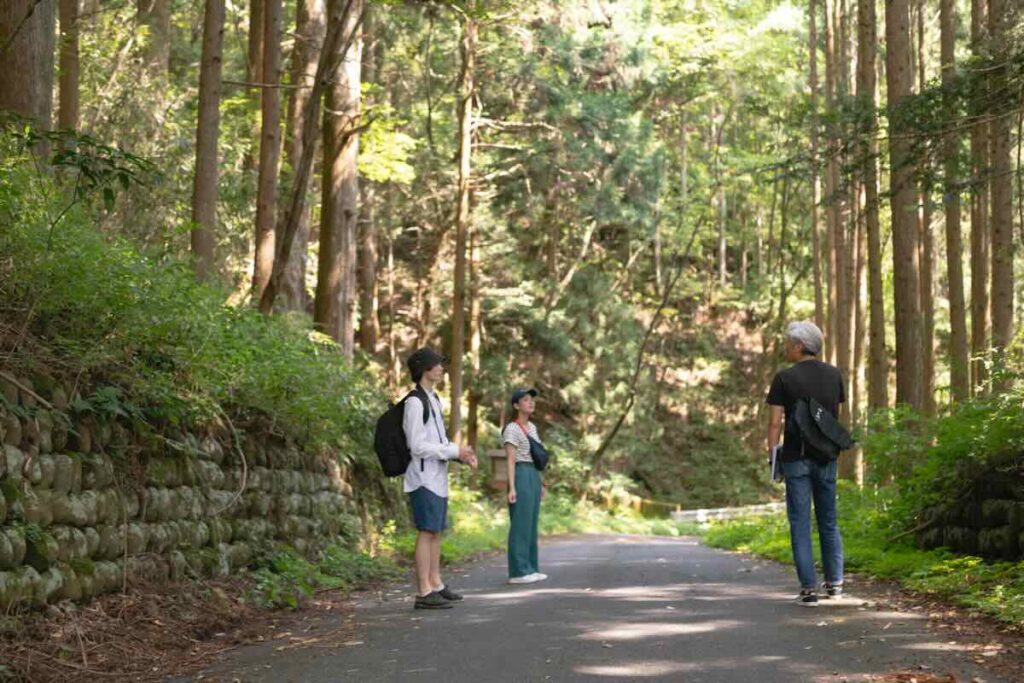 Sugi - Japan Unveiled: Everyday Views, Overseas Amaze! - Vol.1