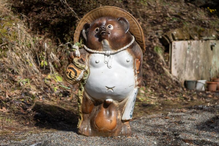 Tanuki (raccoon dog) - Japan Unveiled: Everyday Views, Overseas Amaze ...