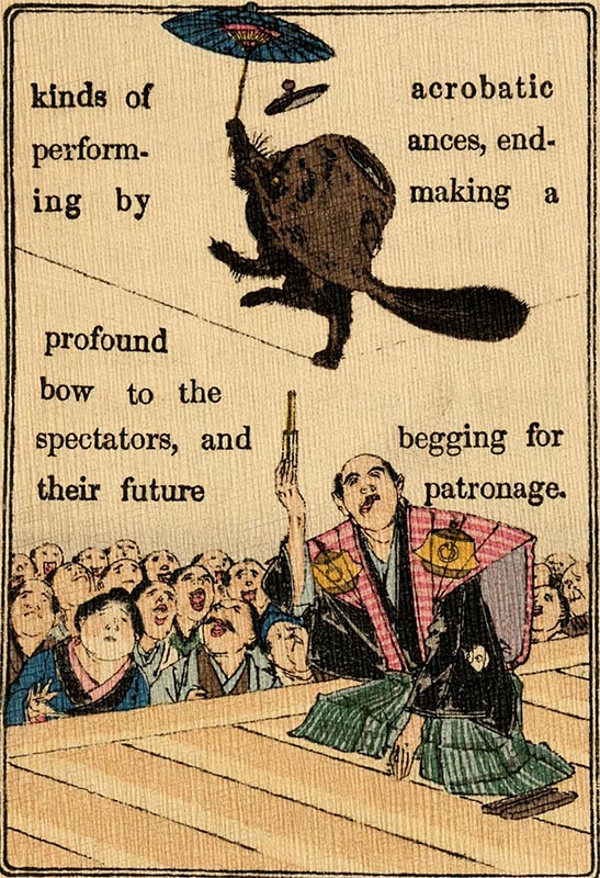 Tanuki (raccoon dog) - Japan Unveiled: Everyday Views, Overseas Amaze ...