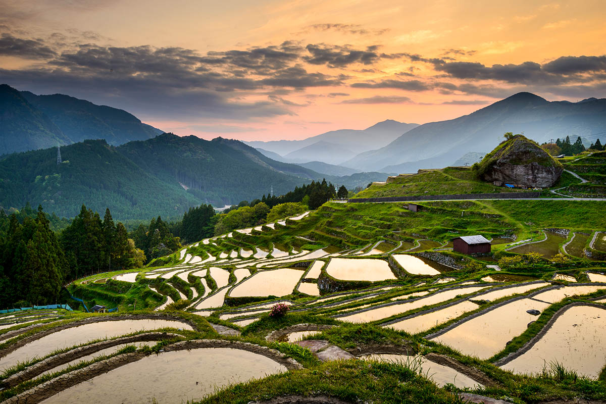Rice Fields: A Vital Part of Japan’s Satoyama Scenery – Japan Unveiled ...
